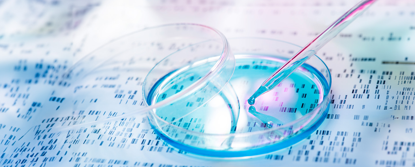 Research and Development - BIOCELL ULTRAVITAL - Thérapie Cellulaire Rénovatrice